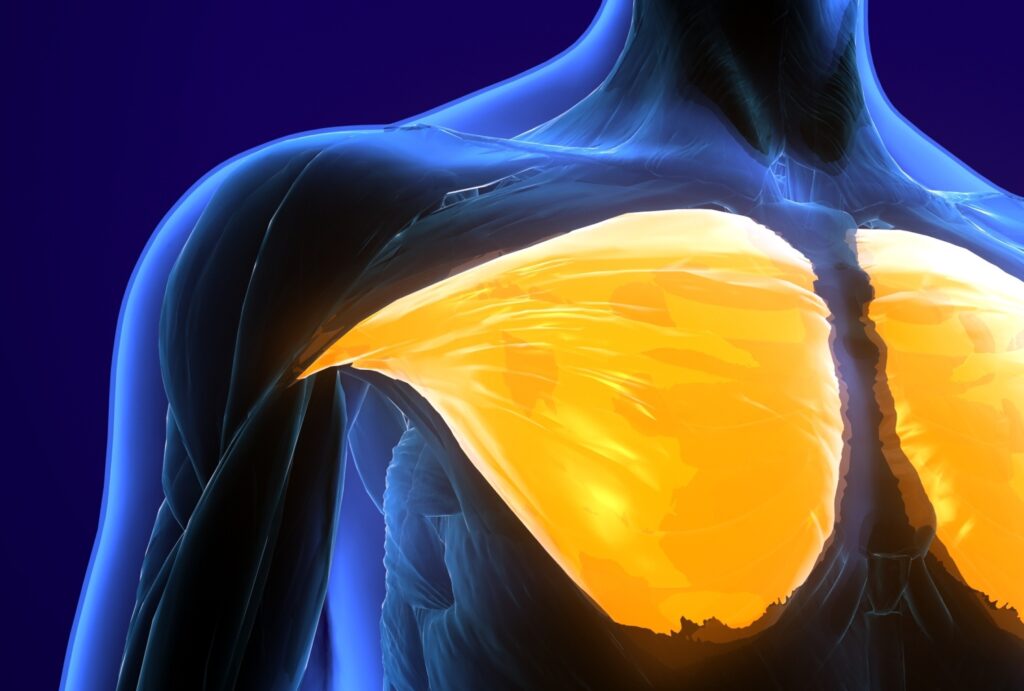 Réinsertion du grand pectoral : le guide complet | Dr Salabi | Marseille